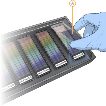 Wash BeadChips (IAPS with ILASS)