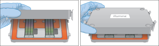 Hybridize DNA to the BeadChip (IAPS with ILASS)