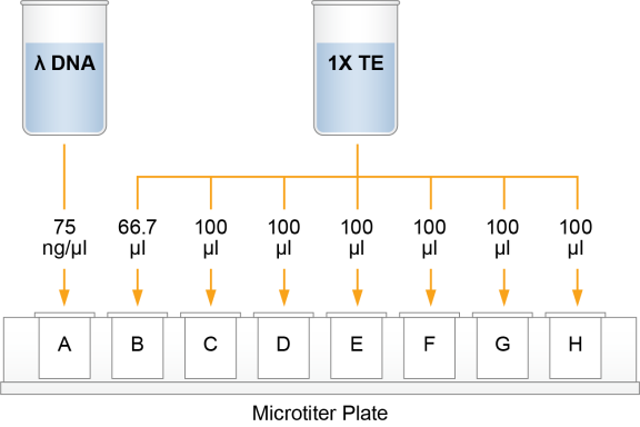 Quantify DNA (Optional)