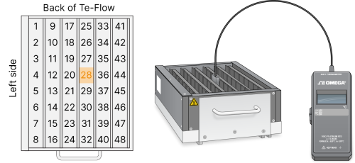Extend and Stain BeadChips