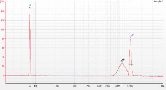 Clean Up Amplified DNA